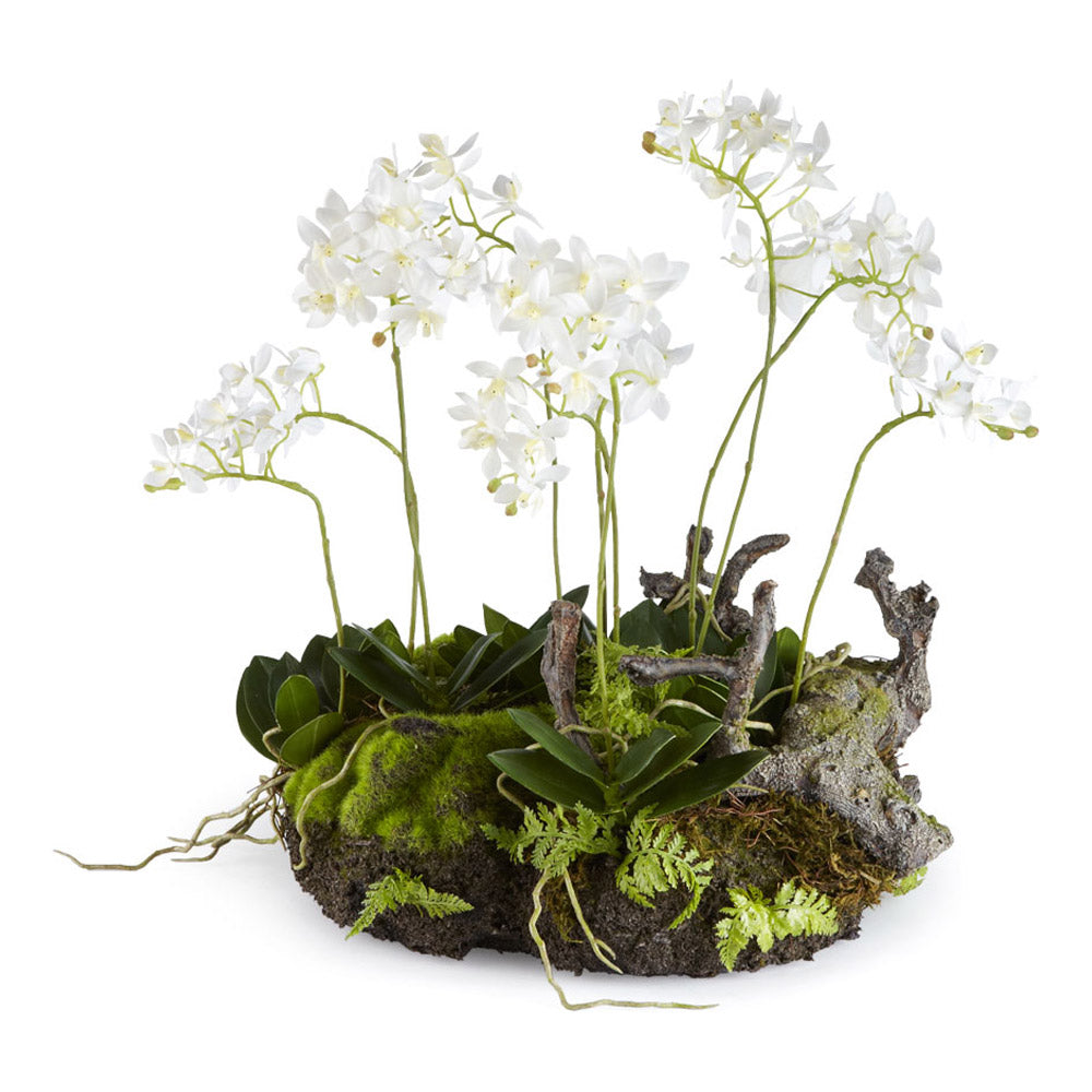 MINI DENDROBIUM WITH RUSTIC DROP-IN 16" – Napa Home & Garden
